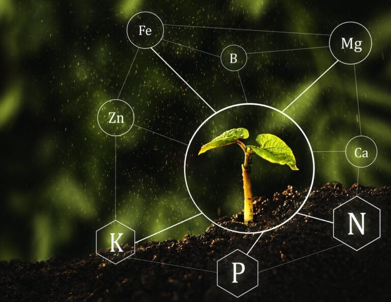 The Complete Guide to Chemical Fertilizers